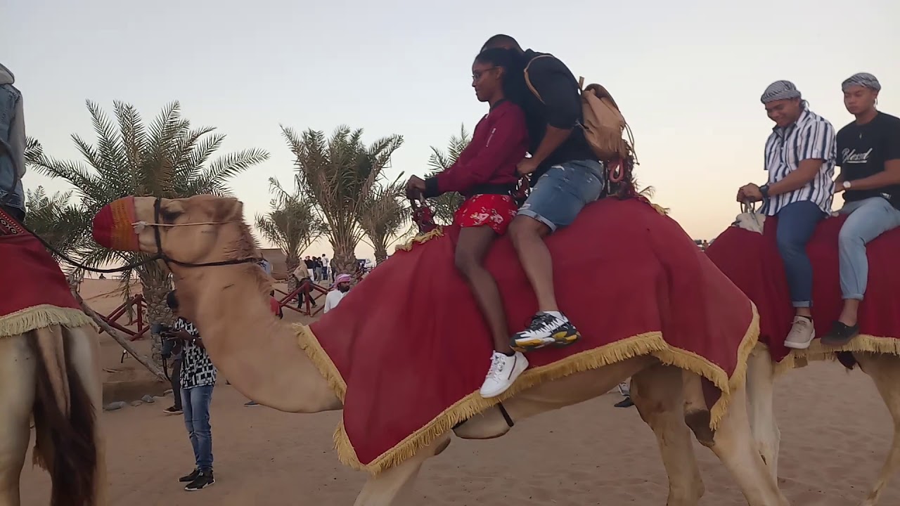 Amazing adventure/Desert Safari Al Awir,Dubai - YouTube