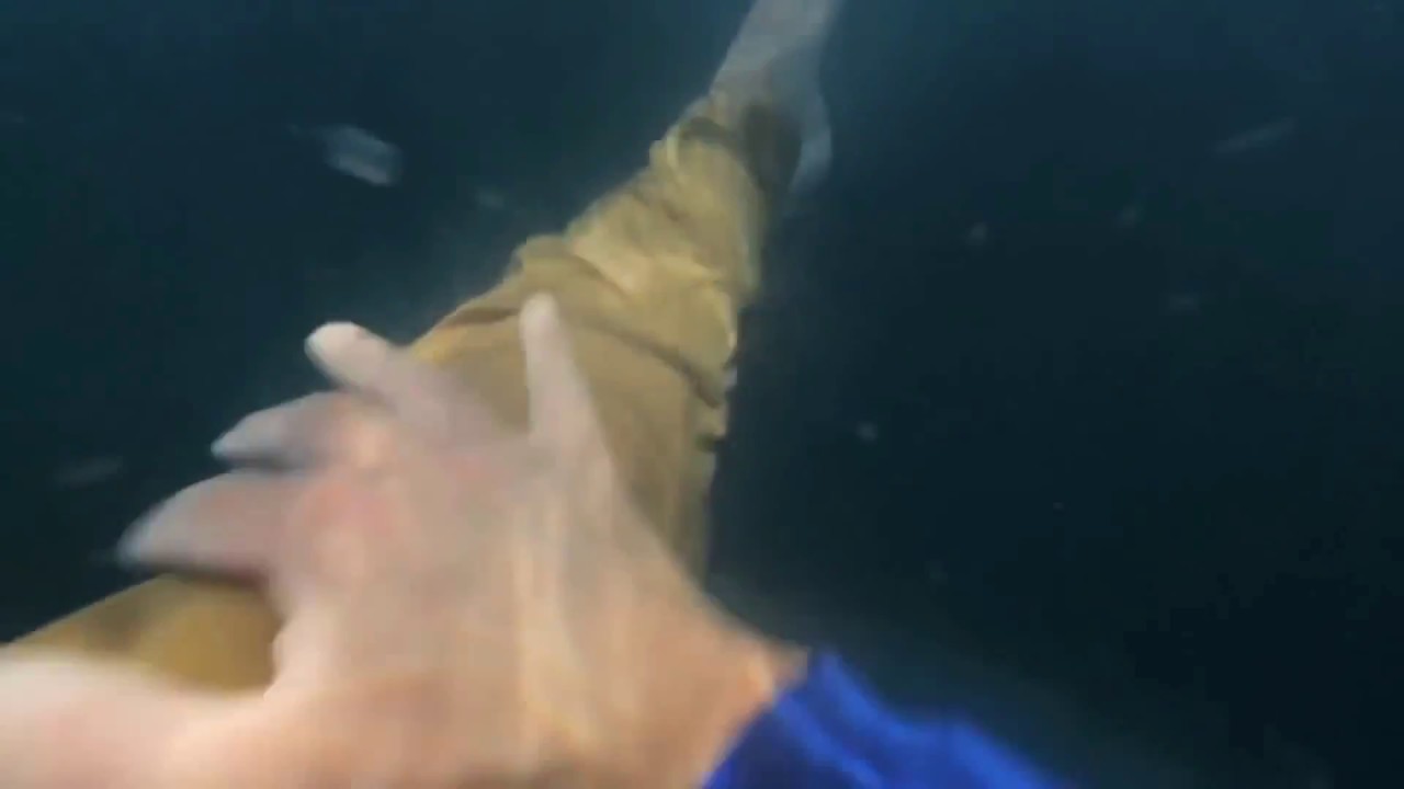 Experimenta como es ahogarse - YouTube