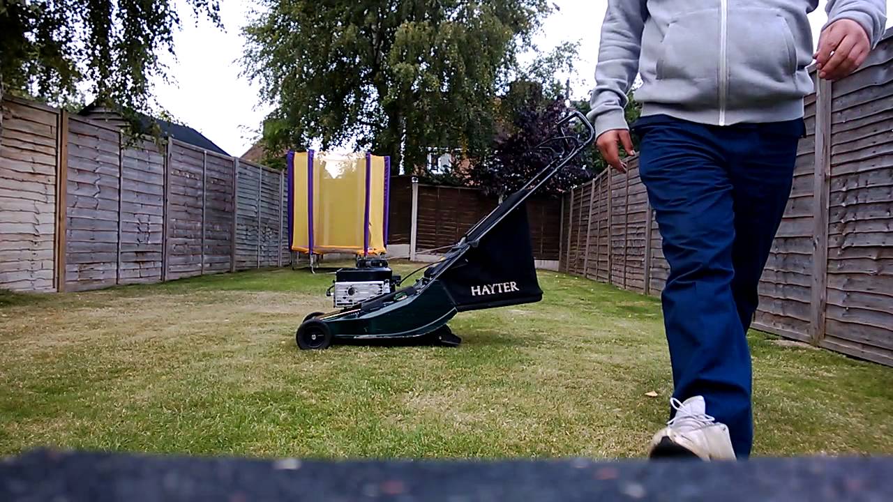 Hayter Hawk - YouTube