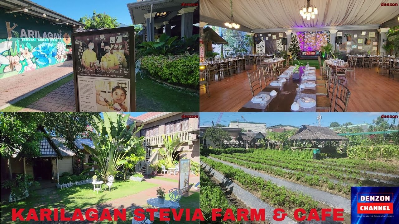 Karilagan Stevia Farm and Cafe - YouTube