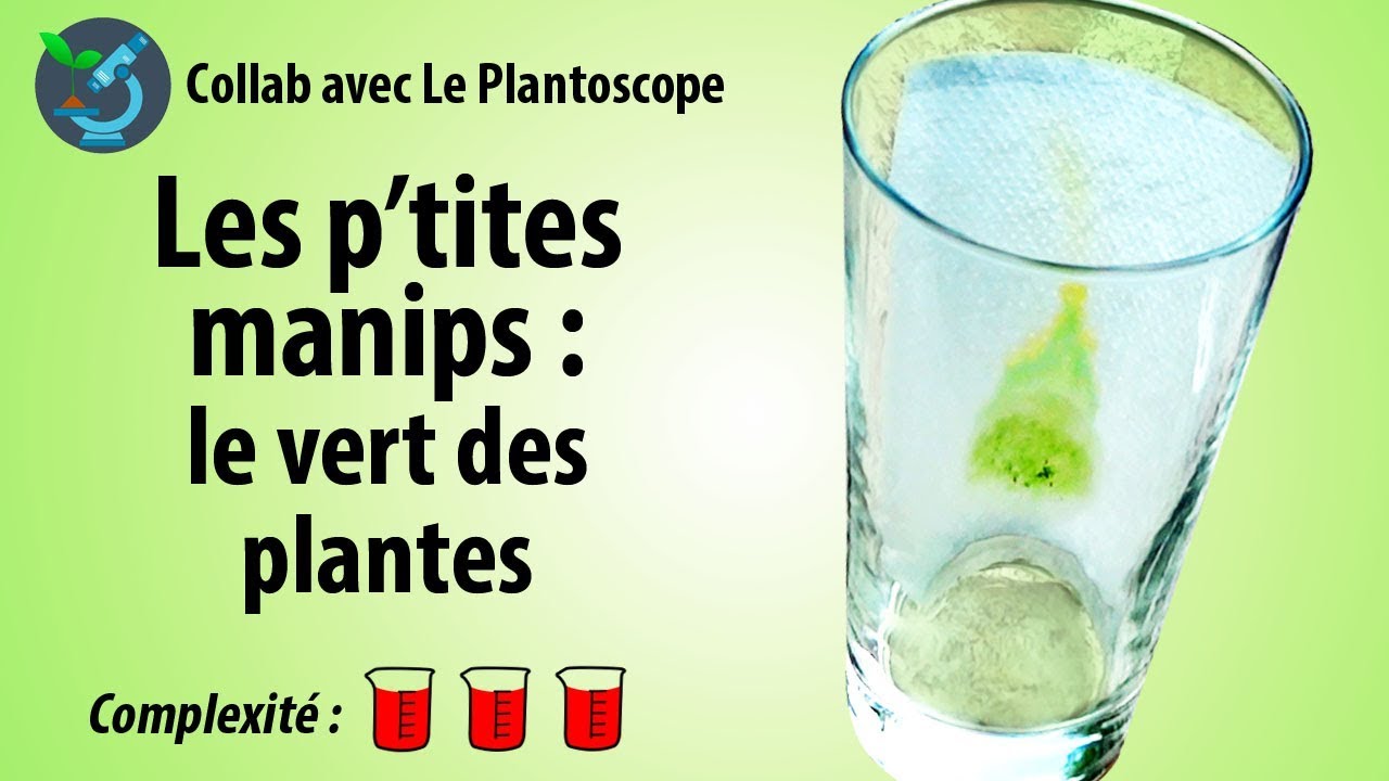 Le vert des plantes - PtitesManips 09 - avec le Plantoscope - YouTube