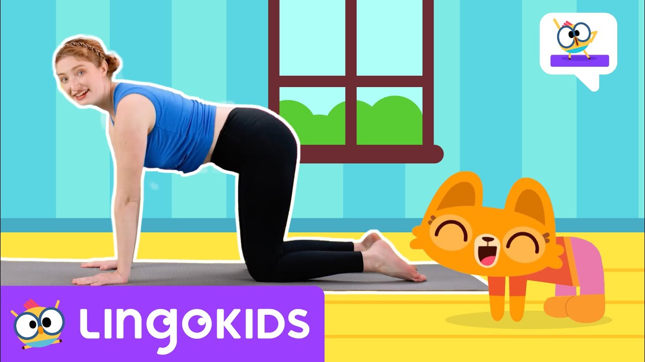 CAT #YOGA 🐈🧘🕉️ Breath, Walk and Stretch | YOGA FOR KIDS | Lingokids ...