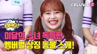 Celuv TV | Team Subbits