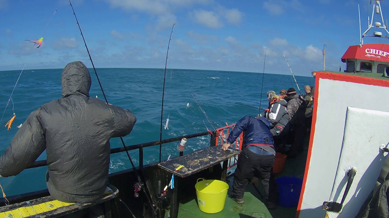 Whitby cod fishing on Chieftain boat -4 - YouTube