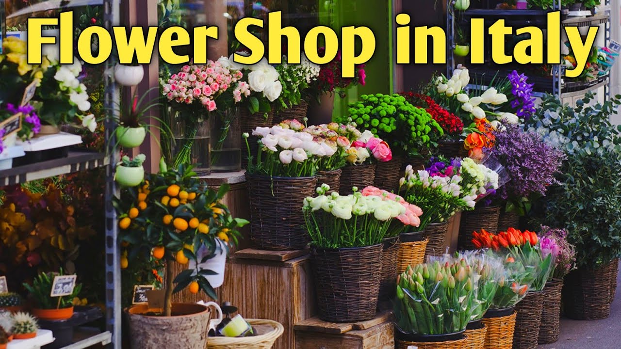 Ornamental Plants in Milan, Italy / Flower shop in Italy/ Indoor Plants ...
