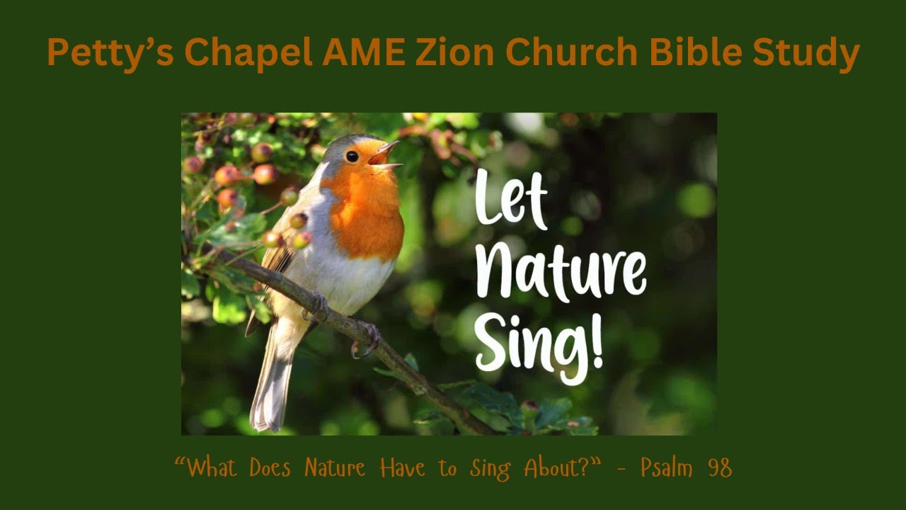 Petty's Chapel AME Zion Church Bible Study - YouTube