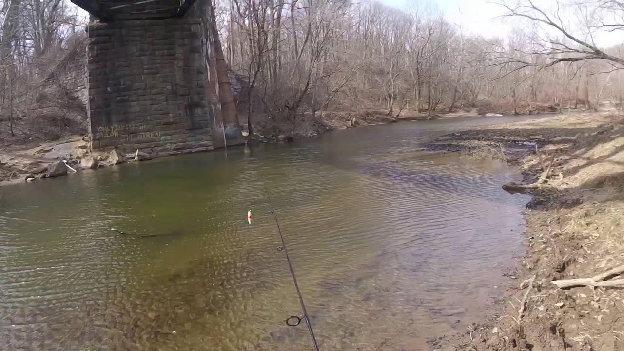 Post spawn yellow perch fishing - YouTube