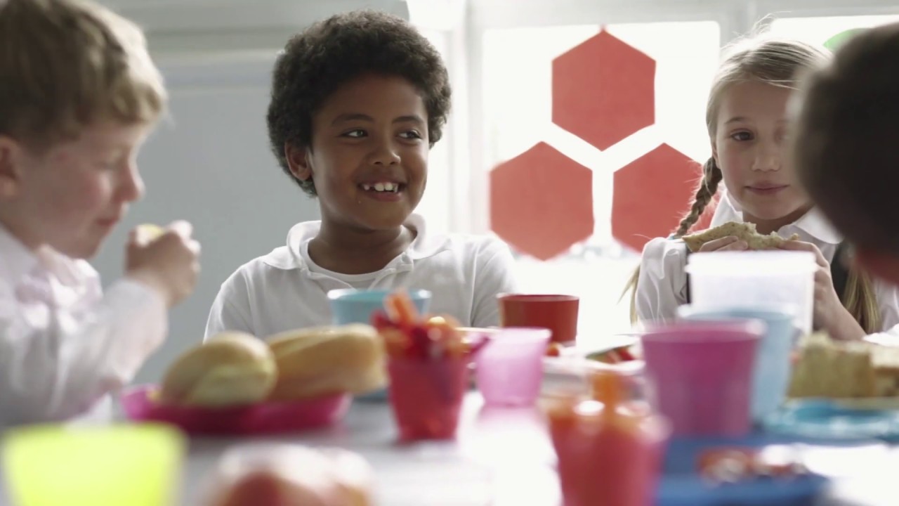 USDA Meals-to-You Rural Summer Feeding Program Pilot 2019 - YouTube