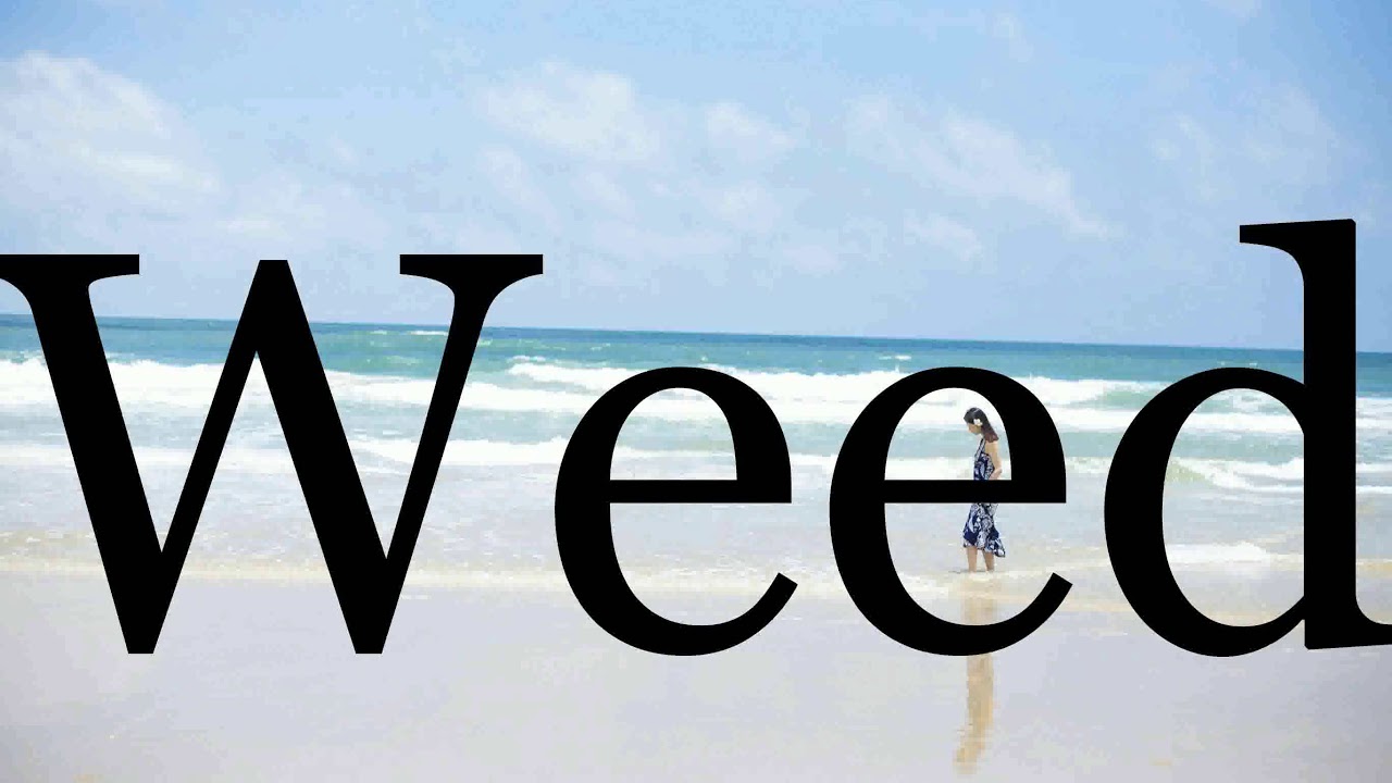 How To Pronounce Weed🌈🌈🌈🌈🌈🌈Pronunciation Of Weed - YouTube