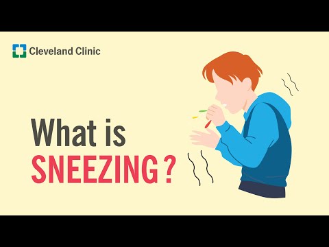 What Is Sneezing?
