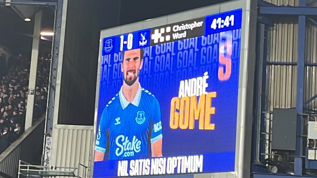 G.O.A.L Everton 1-0 Crystal Palace💙🤍 #pigeon #football #everton #facup ...