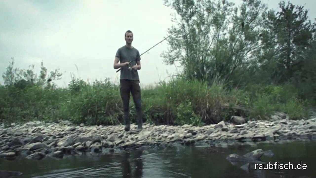 Auf Rapfen mit Jan Lock - YouTube