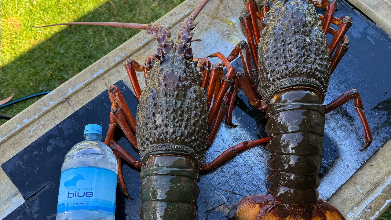 How to cut up crayfish - YouTube