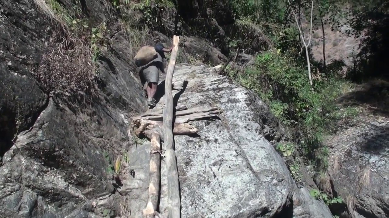 Monkey way in Nepal - YouTube