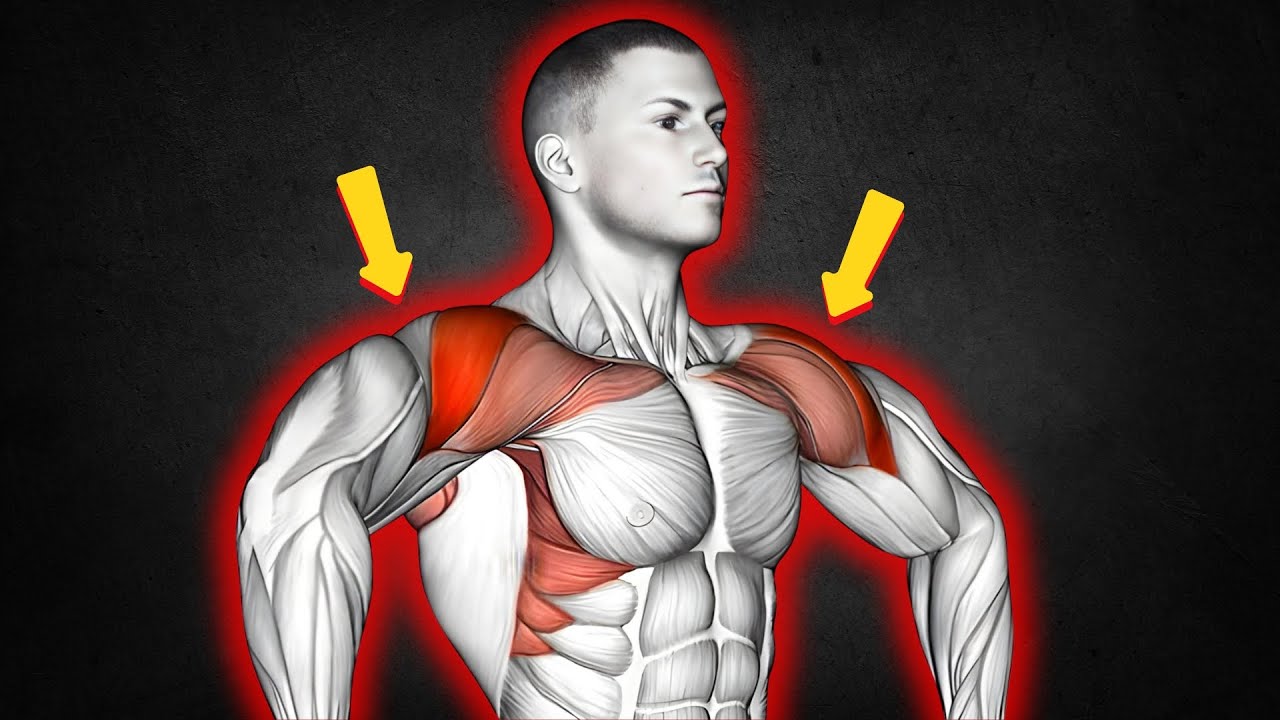 Get Wider More Defined Shoulders Fast Posture & Muscle Tips - YouTube