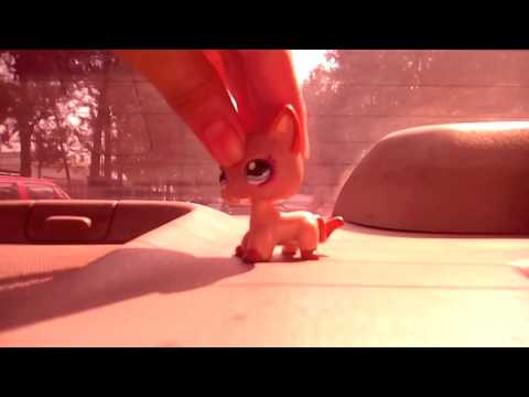 LPS ( Shakira Park Zootopia song 😄 ( Lps versión ) . ESPECIAL 14 suscriptores 😂