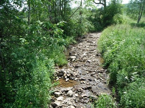 How to Keep Our Streams Clean - YouTube