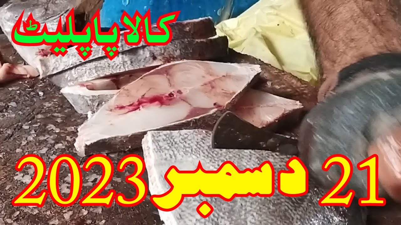 Karachi Fish Price Update || 21 December 2023 || Karachi Fish Rate ...