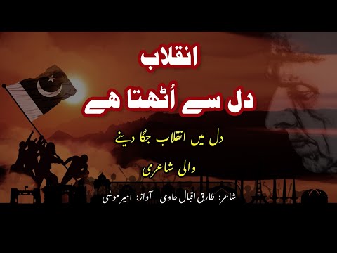 Inqilab Dil Se Uthta Hai | Inqilab Poetry | Inqilab Shayari | Tariq Iqbal Haavi | Ameer Musa