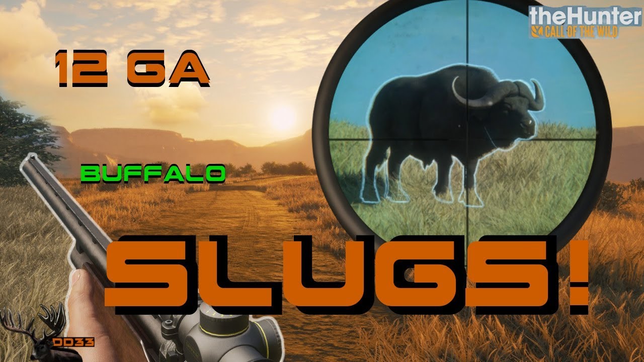 Hunting Cape Buffalo with the 12 GA SLUGS!! (Realistic) Call of the ...