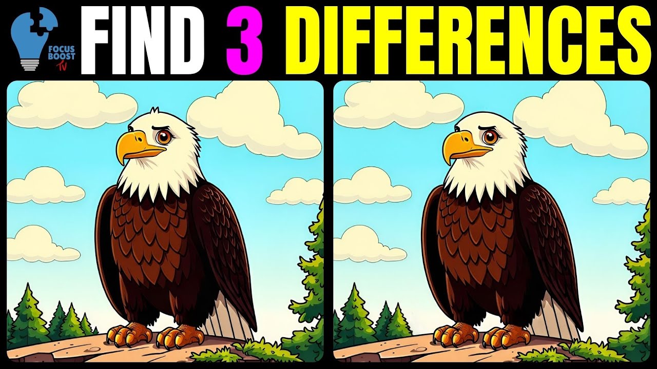 [Spot the Difference:79] Brain Break:Attention Test:Dementia Prevention ...