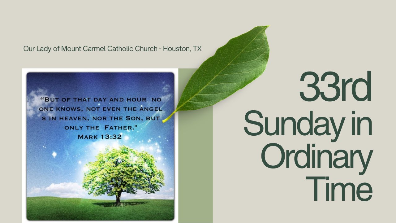 33rd Sunday in Ordinary Time - Houston, TX 2 - YouTube