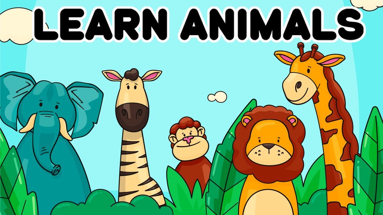 Educational Cartoon– Kids Songs – Baby Learning | LEARN ANIMAL NAMES ...