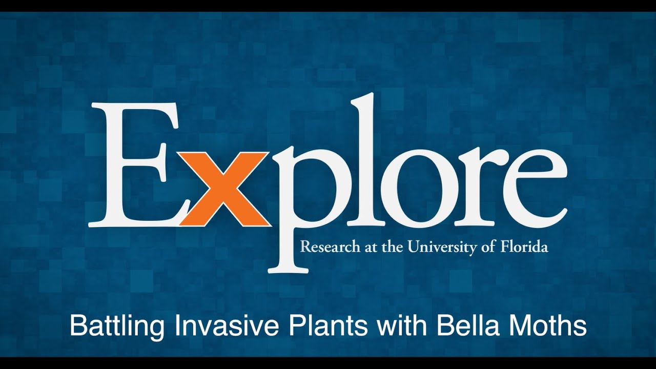 Bella Moth: Battling Invasive Plants - YouTube