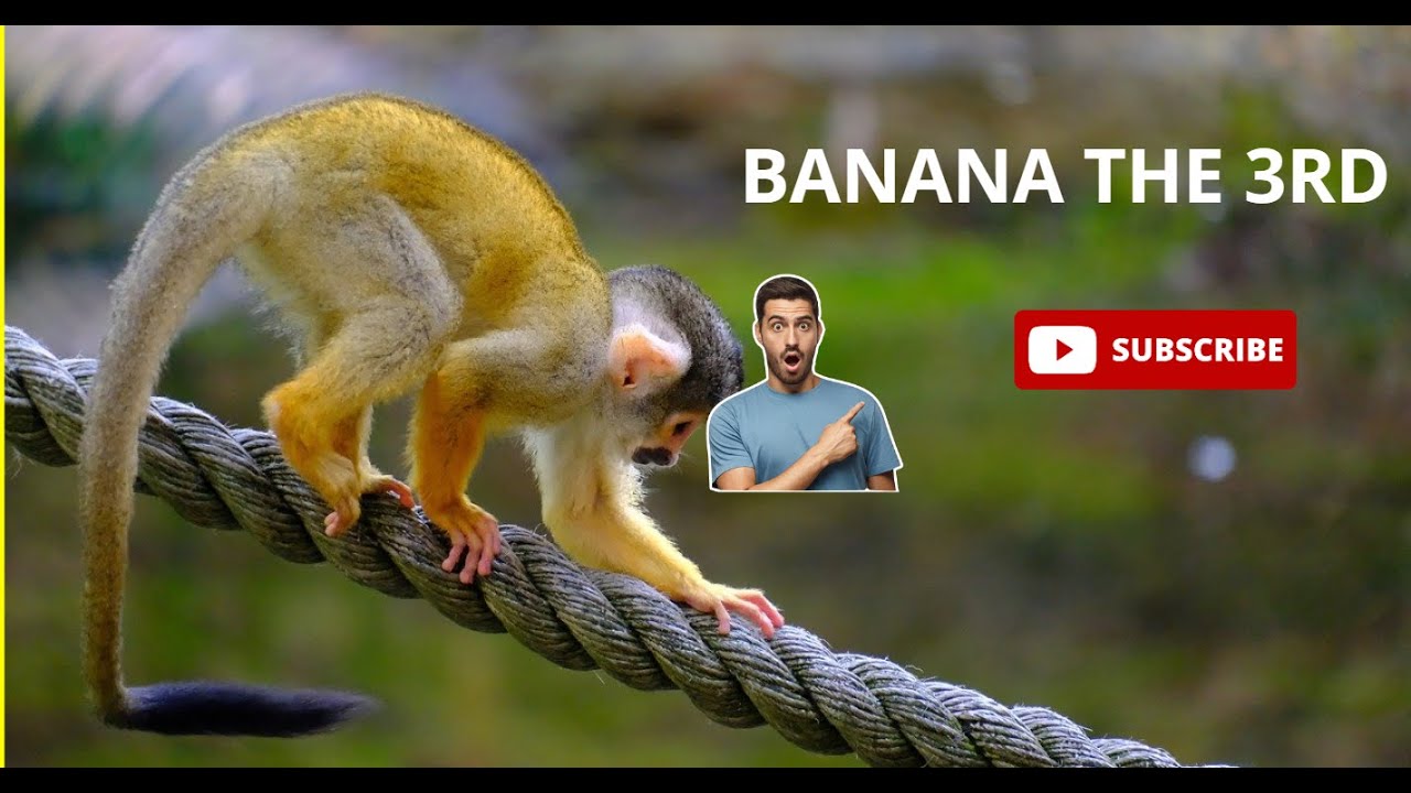 Banana grinding day #2 - YouTube