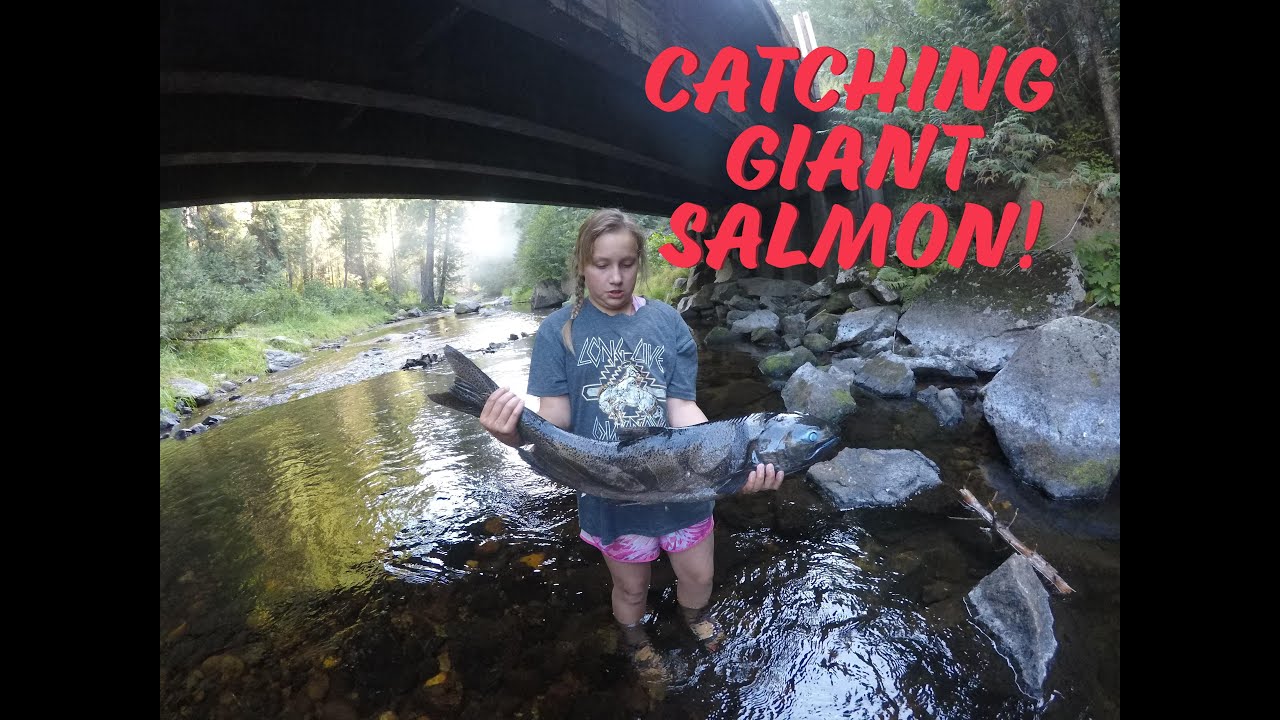 Catching MONSTER Salmon - YouTube