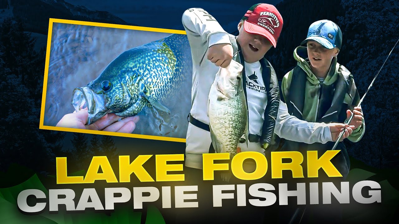 Lake Fork Crappie Fishing: Family Fishing Adventure. Identifying White ...