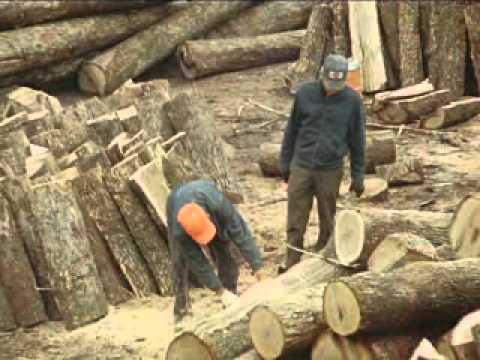 Piatt Family Splitting, Stacking Logs at Stave Mill - Shannon County ...