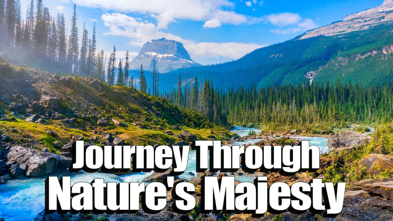 Wonders of Nature: A Serene Journey Through Earth's Treasures - YouTube