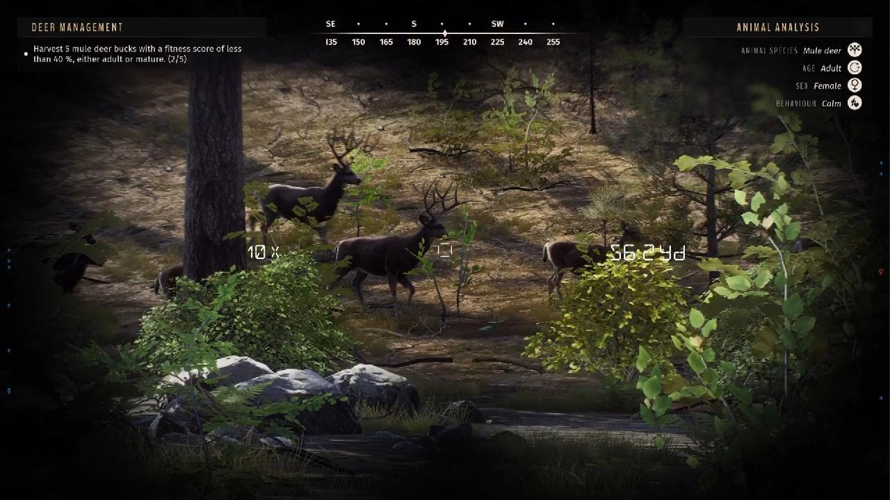 (First 5 Star Mule Deer!) Way of the Hunter - YouTube