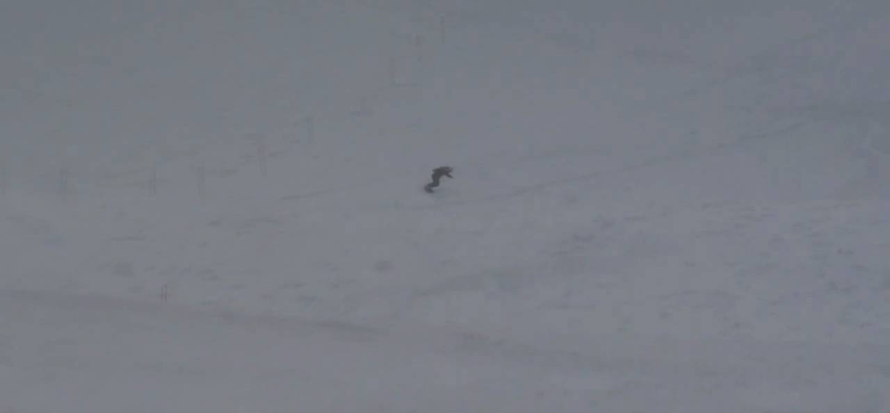 Nathan Schultz's winning run in the 2009 Moonlight Basin Headwaters Run ...