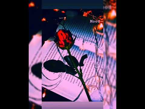 Seninle ölmek istiyorum (şiir yolu) 🍁yaşar koca🍁