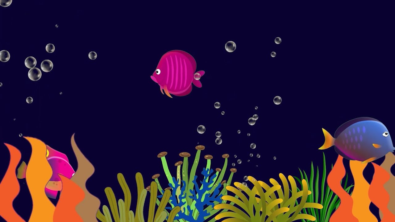 𝗙𝗶𝘀𝗵🐡🐠🐡 𝗔𝗾𝘂𝗮𝗿𝗶𝘂𝗺💟 |𝗣𝗲𝗮𝗰𝗲𝗳𝘂𝗹 𝗨𝗻𝗱𝗲𝗿 𝗦𝗲𝗮🐳💤||𝗔𝗾𝘂𝗮𝗿𝗶𝘂𝗺 𝗔𝗻𝗶𝗺𝗮𝘁𝗶𝗼𝗻𝘀| Fish ...
