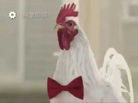 Kısa komik video #3