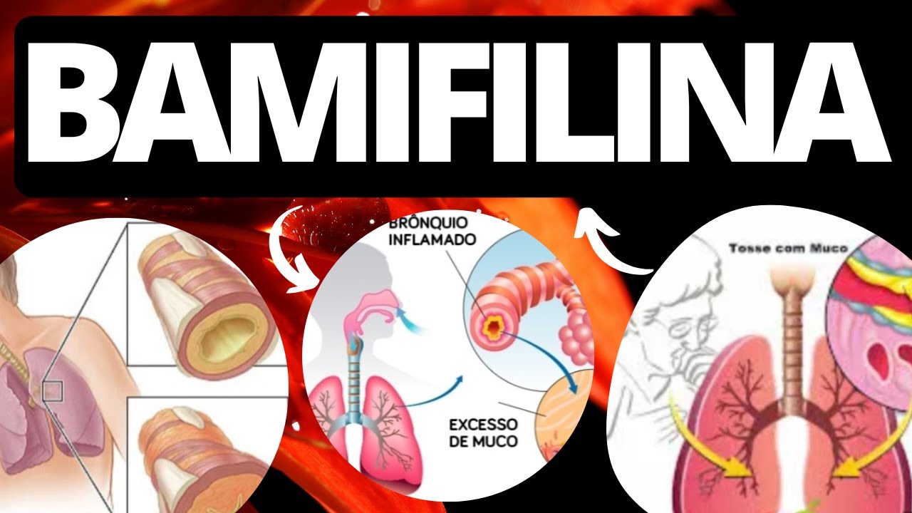 BAMIFILINA: Mecanismo de ação, indicação, reações, interação e cuidados ...