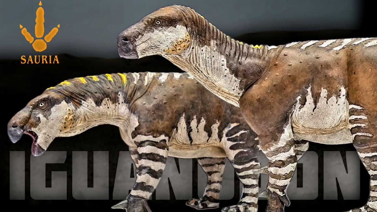 Sauria Models BEAUTIFUL IGUANODON pair Review!!! - YouTube