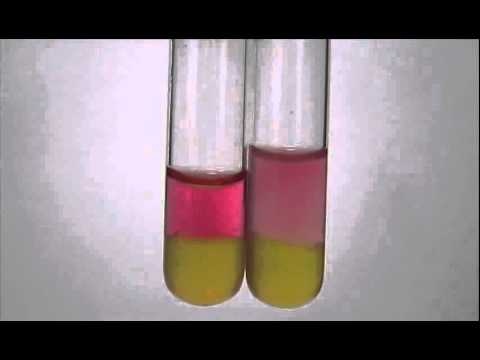 Phản ứng borntraeger - anthranoid - YouTube