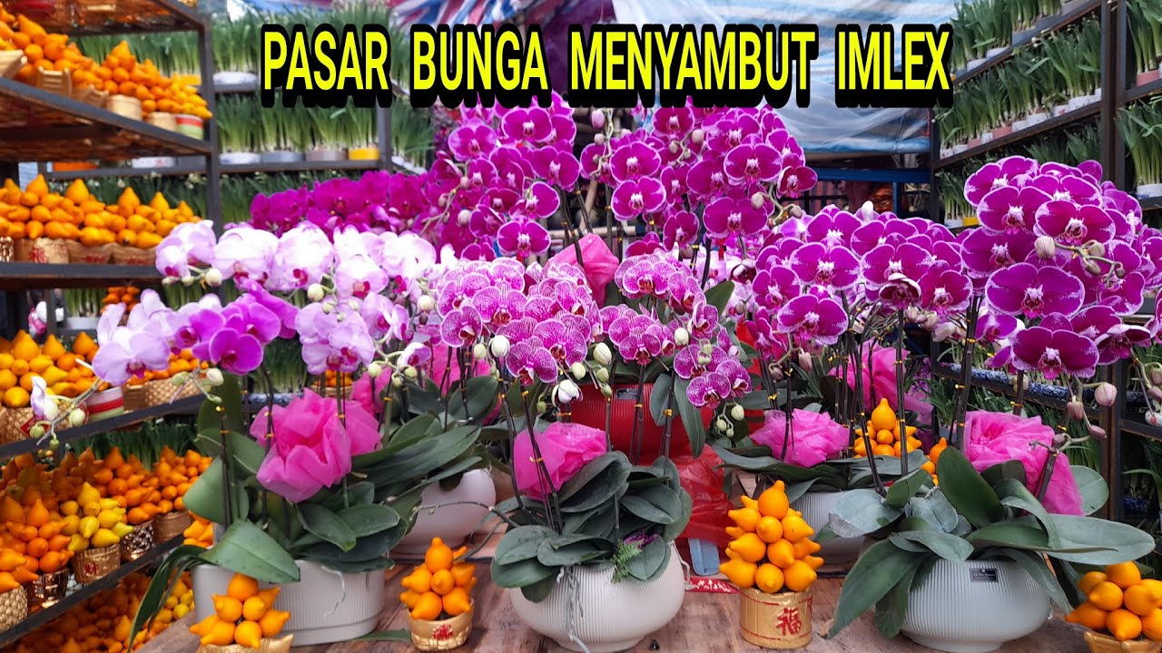 PASAR BUNGA SAAT MENYAMBUT HARI RAYA CHINA - YouTube