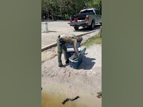 FWC, VERY PROFESSIONAL! - YouTube