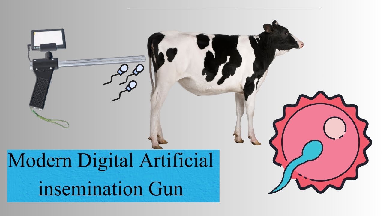 Revolutionary Digital AI Gun for Cattle | Modern Artificial ...
