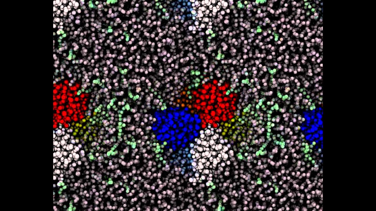 Top-down view of hexameric protein in POPE/POPG membrane - YouTube