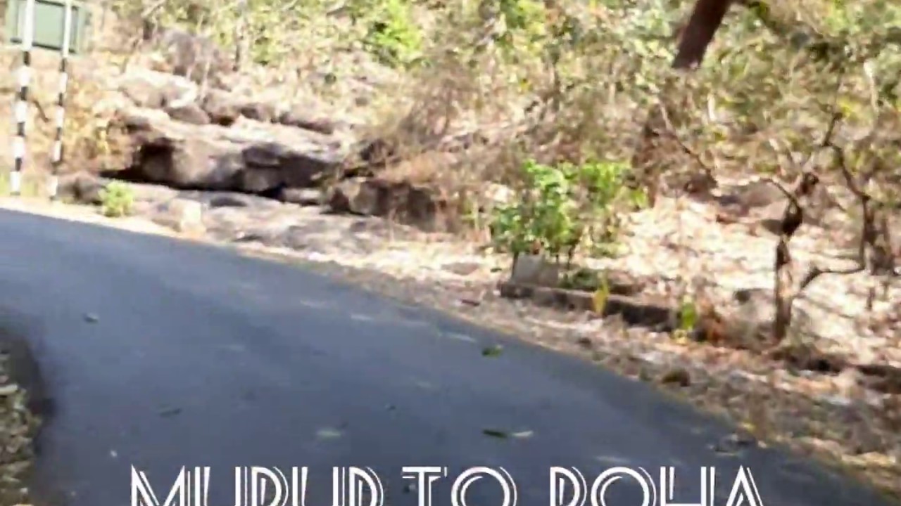 ROHA GHAAT - Raigad District | Jungle Ride | Pulsar 150 - YouTube