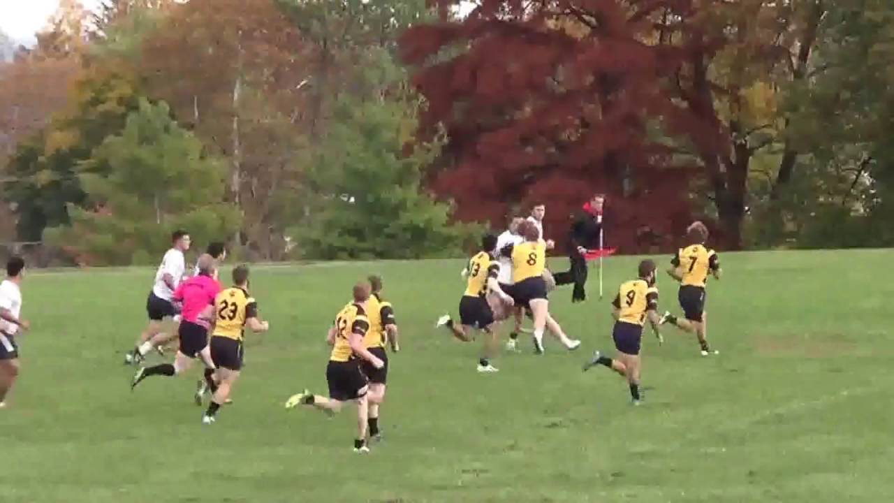 Luis Turbyfield 2015-16 Highlights - YouTube