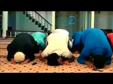 En yeni pirkollar