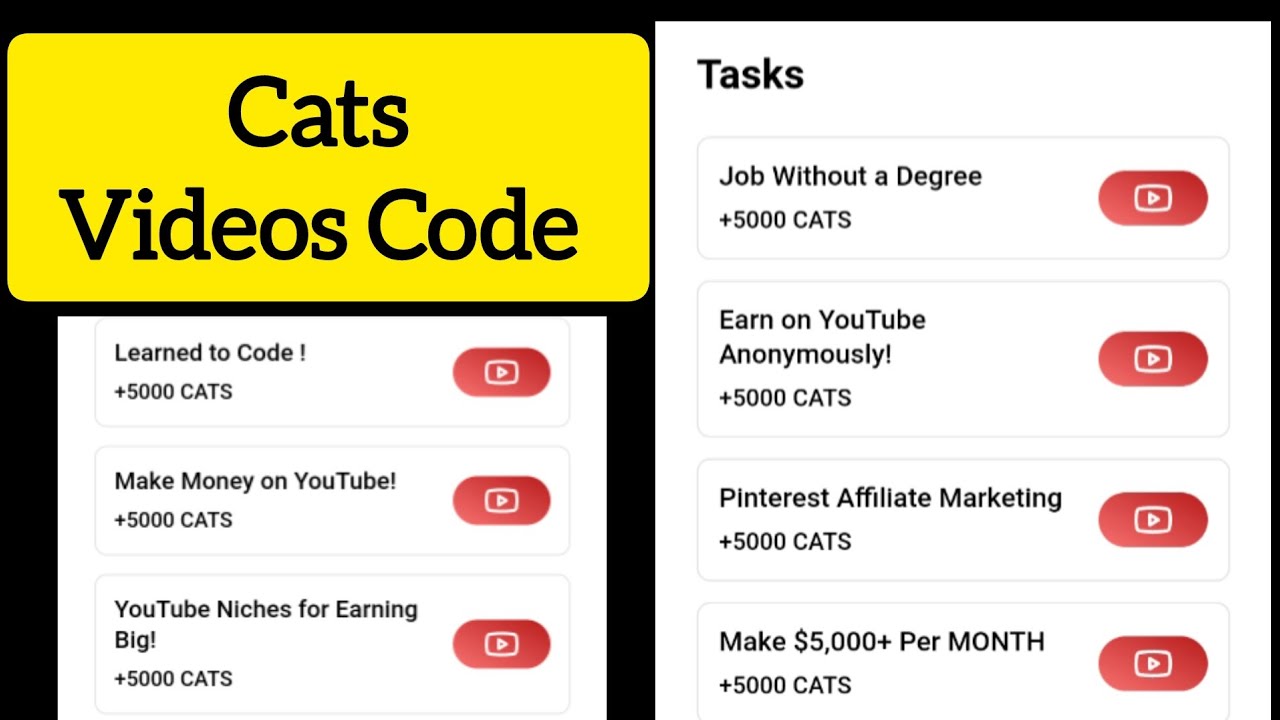 Cats All Video Codes | 1st December Cats All Video Codes | Make Money ...