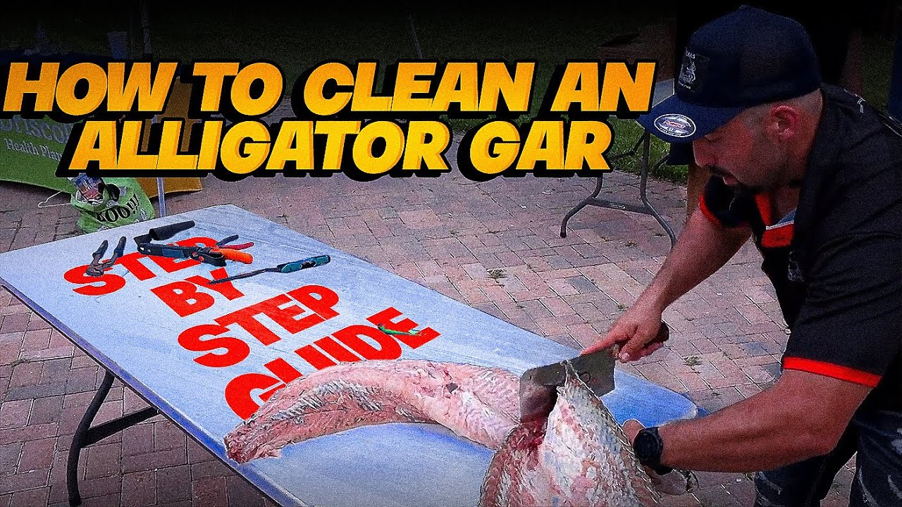 How to Clean an Alligator Gar – Expert Step-by-Step Seminar - YouTube